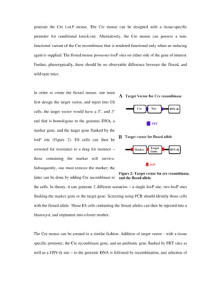 The Cre-LoxP System | PDF