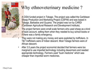 Creolization and ethnovet | PPT