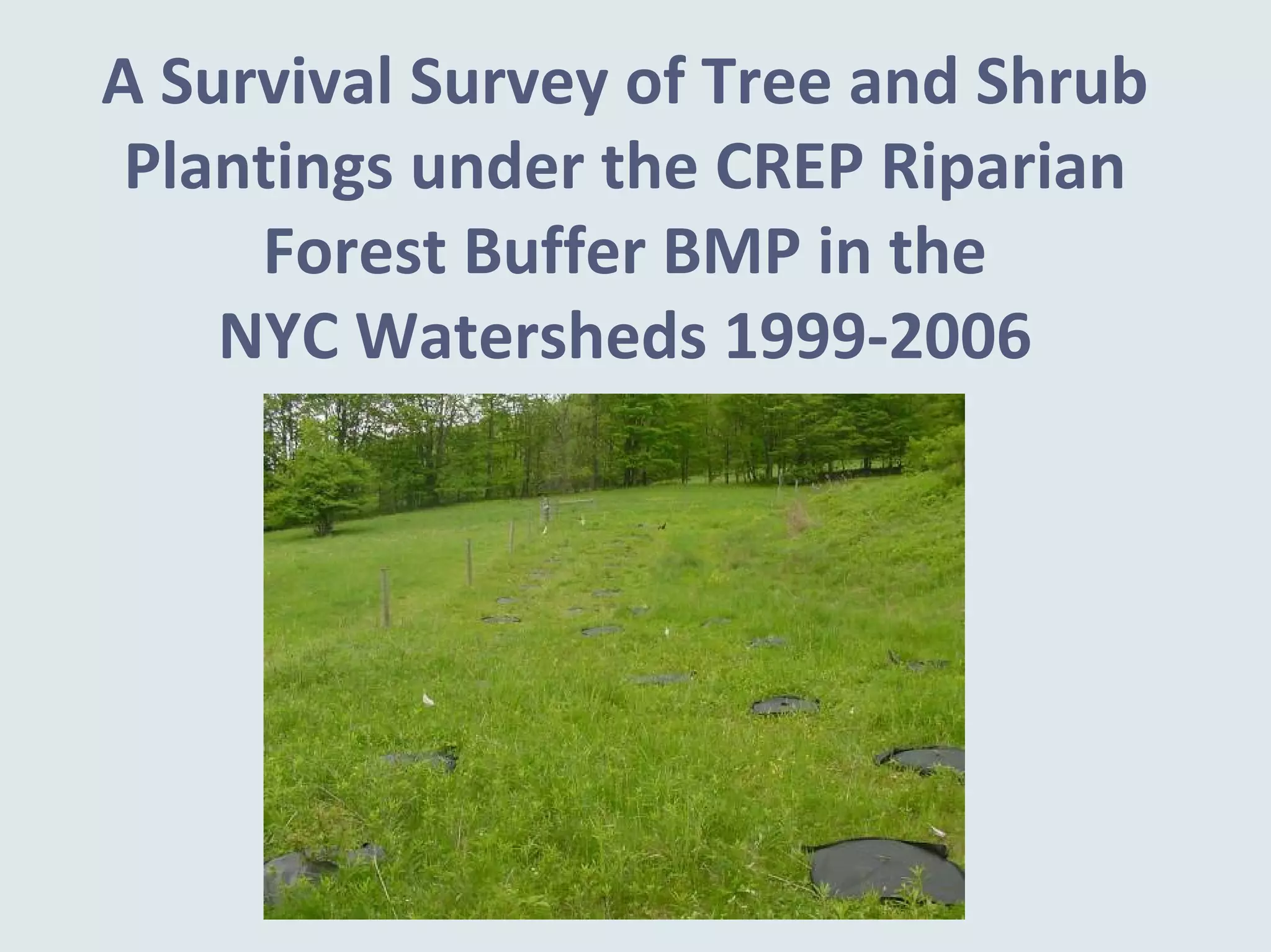 P.Eskeli - CREP Survival Survey Trees And Shrub Plantings | PDF ...