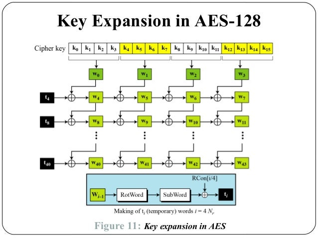 AES Cryptosystem