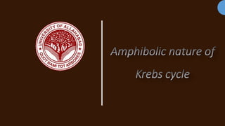 Amphibolic nature of kreb's cycle | PDF