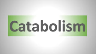 Amphibolic nature of kreb's cycle | PDF