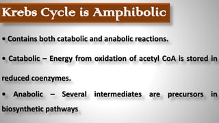 Amphibolic nature of kreb's cycle | PDF