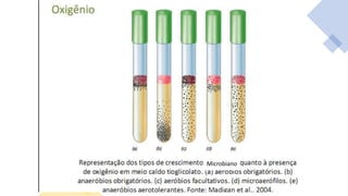 Nutrição, Metabolismo e Reprodução Microbiana | PPT
