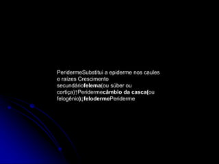 Anatomia Vegetal Aula Crescimento Secundario.ppt