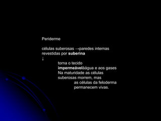 Anatomia Vegetal Aula Crescimento Secundario.ppt