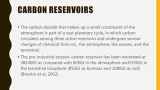C reservoir & c cycle | PPT