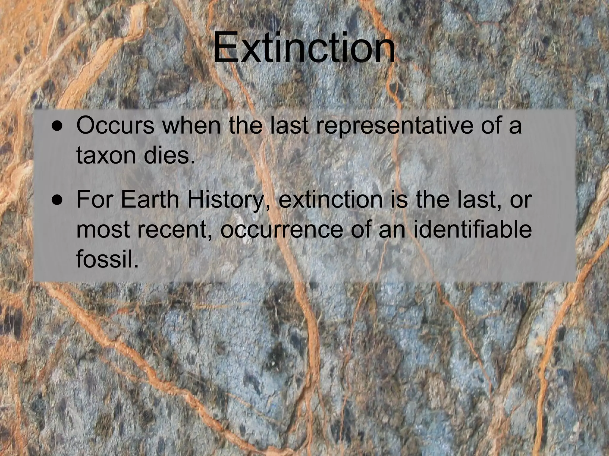 K/T Extinction | PPT