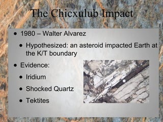 K/T Extinction | PPT