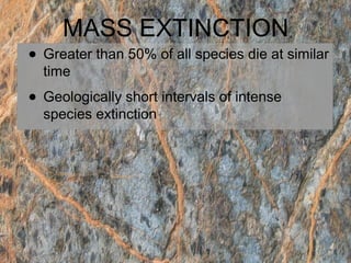 K/T Extinction | PPT