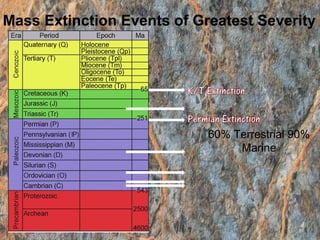 K/T Extinction | PPT