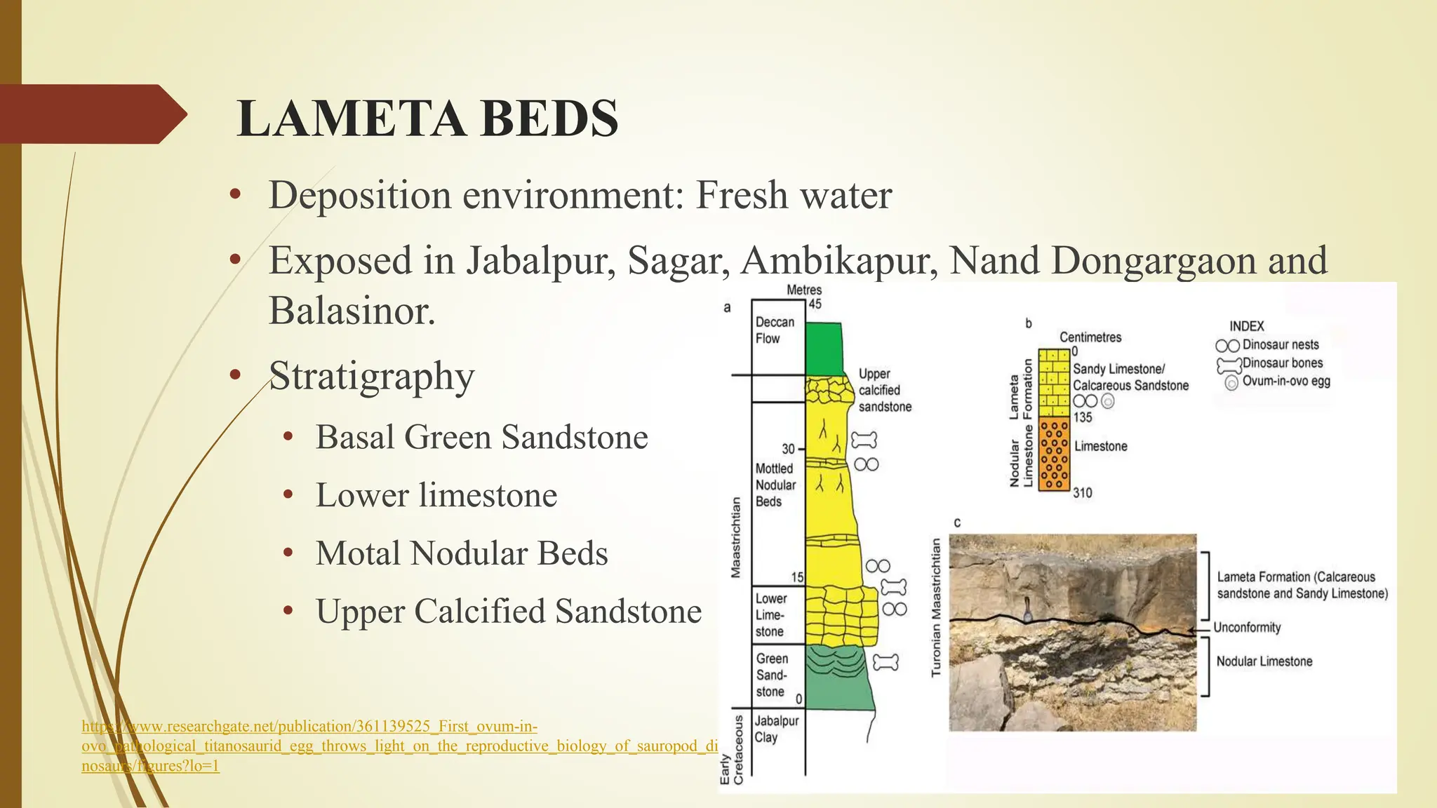 Correlation of Cretaceous of Trichinopoly and Narmada basin.pptx