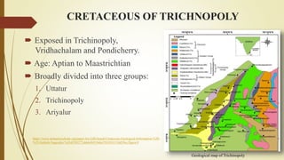 Correlation of Cretaceous of Trichinopoly and Narmada basin.pptx