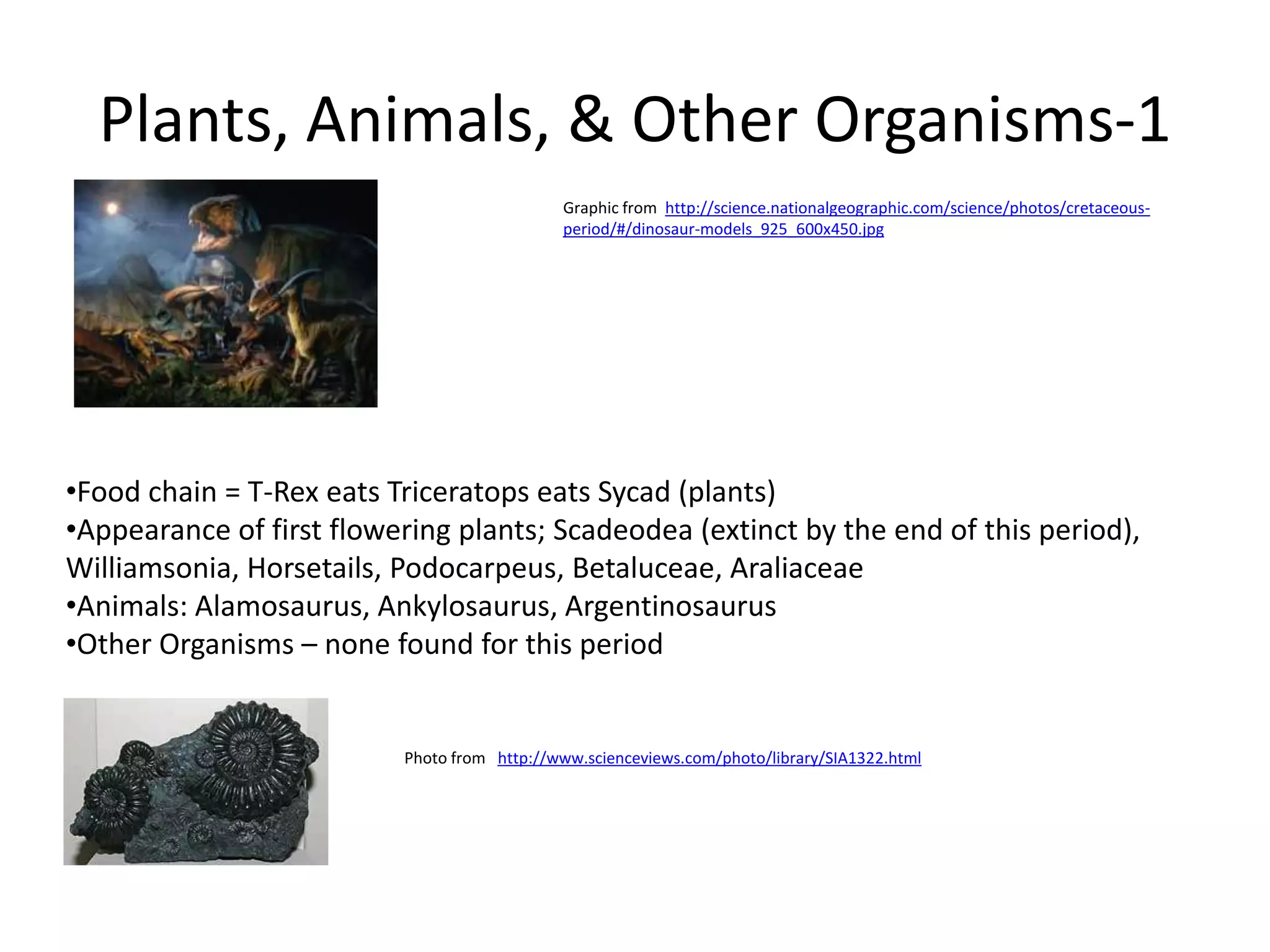 Cretaceous Period Earth Science Project | PPTX