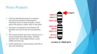 Creutzfeldt jakob disease | PPTX