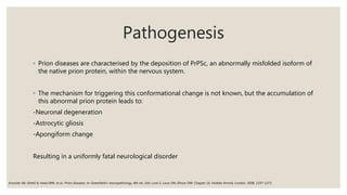 Creutzfeldt Jakob Disease | PPTX