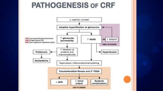 CRF case study.pptx