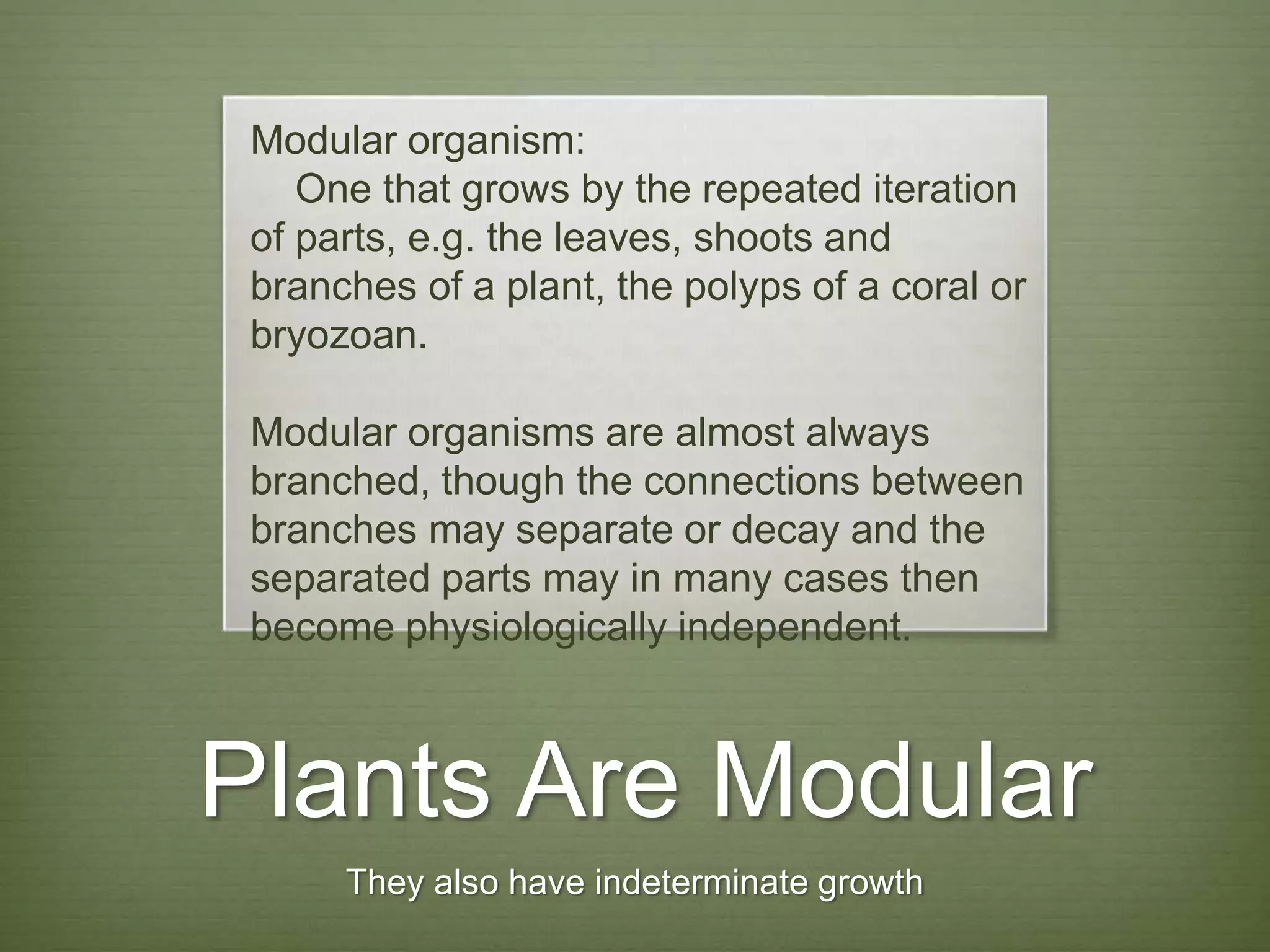Kevin Cummins' Botany Sampler