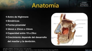 Cirugia Endoscópica de Seno Maxilar | PPTX