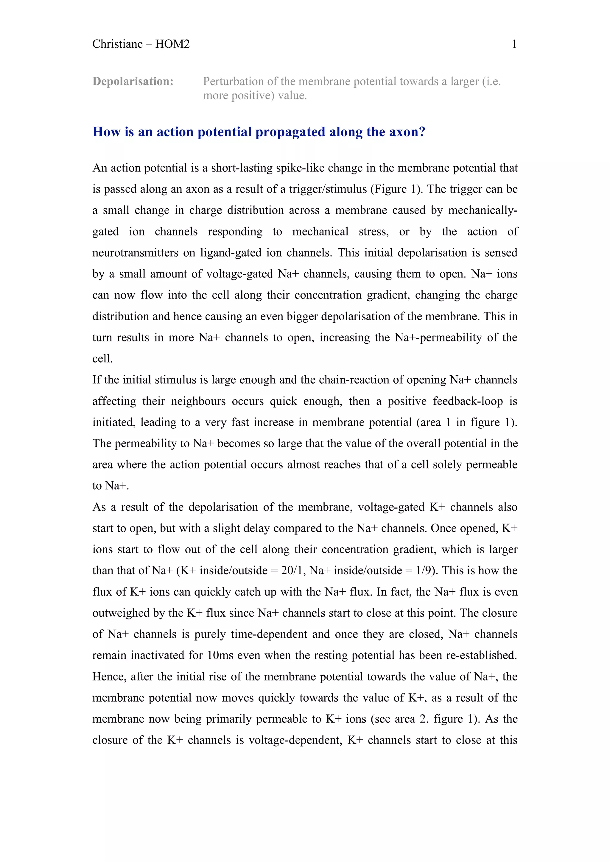 The propagation of action potentials along the axon. | PDF