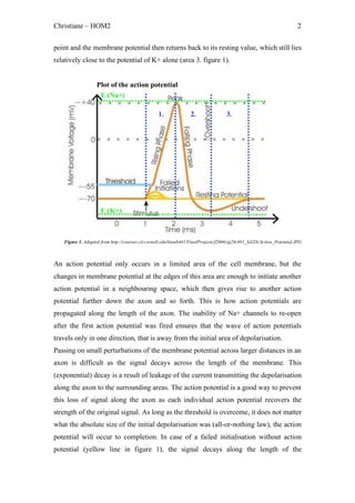 The propagation of action potentials along the axon. | PDF