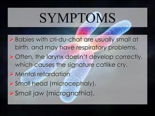 Cri du-chat syndrome | PPTX