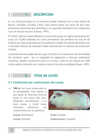 Crianza de cuy del peru y para en mundo | PDF