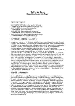 Crianza de pez carpa | PDF