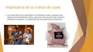 CRIANZA Y COMERCIALIZACIÓN DE CUYES.pptx