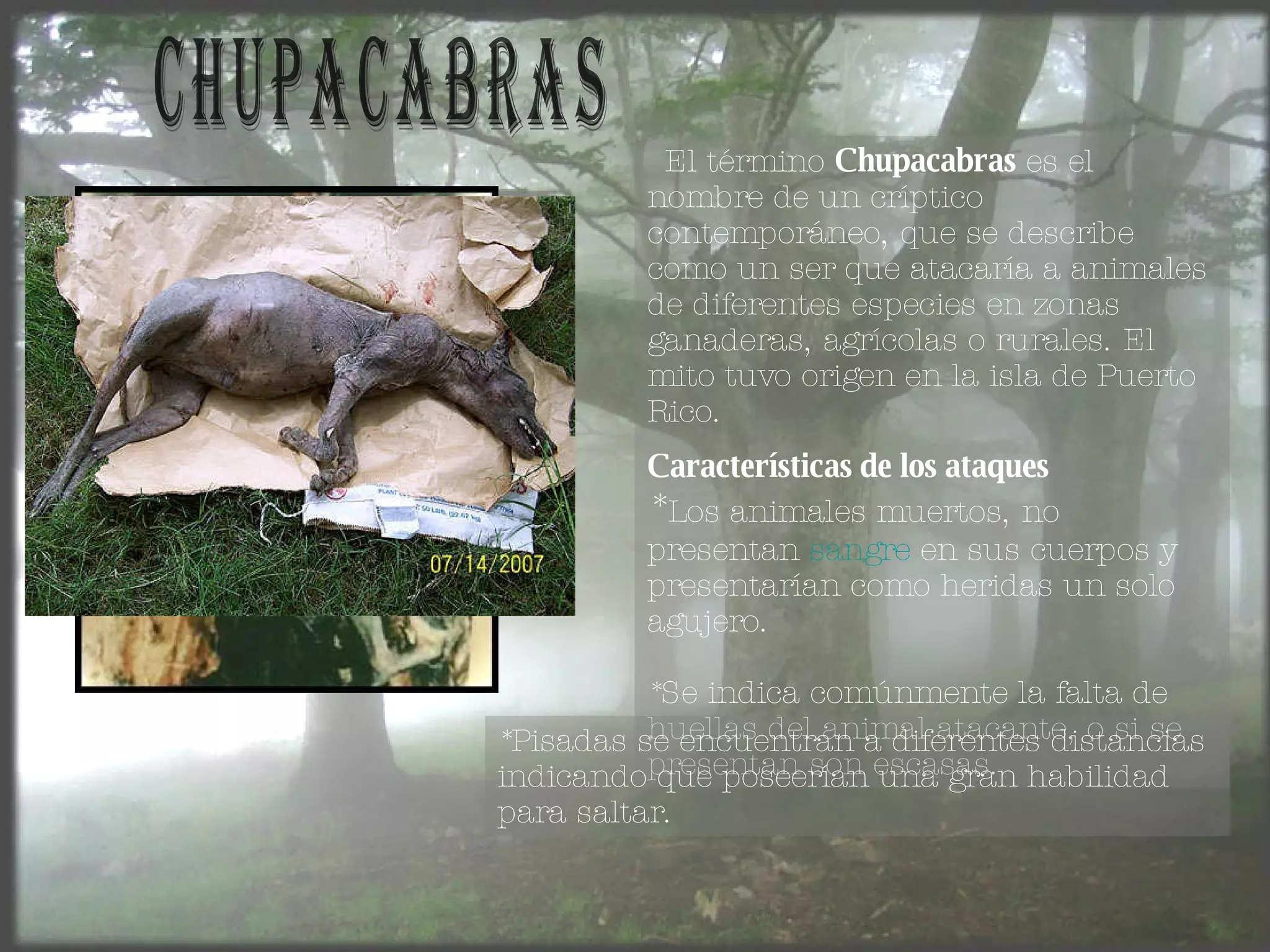 Criaturas Misteriosas | PPT