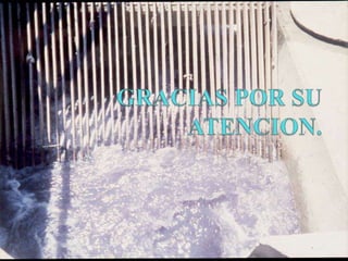 Cribado o rejillas | PPTX