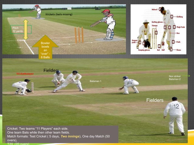 Cricket | PPTX