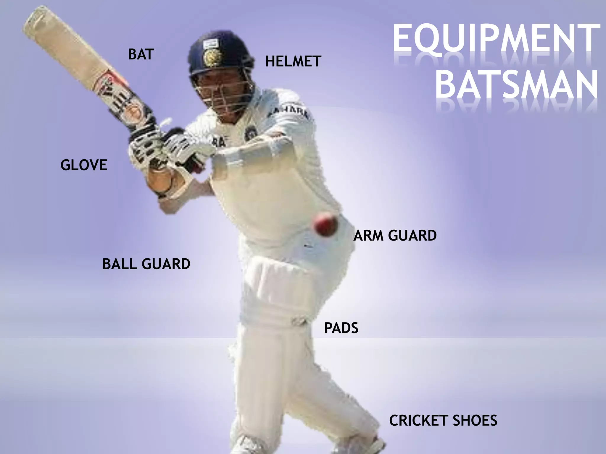 Cricket | PPTX