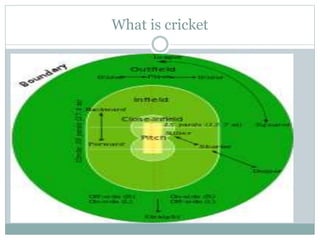Cricket | PPTX