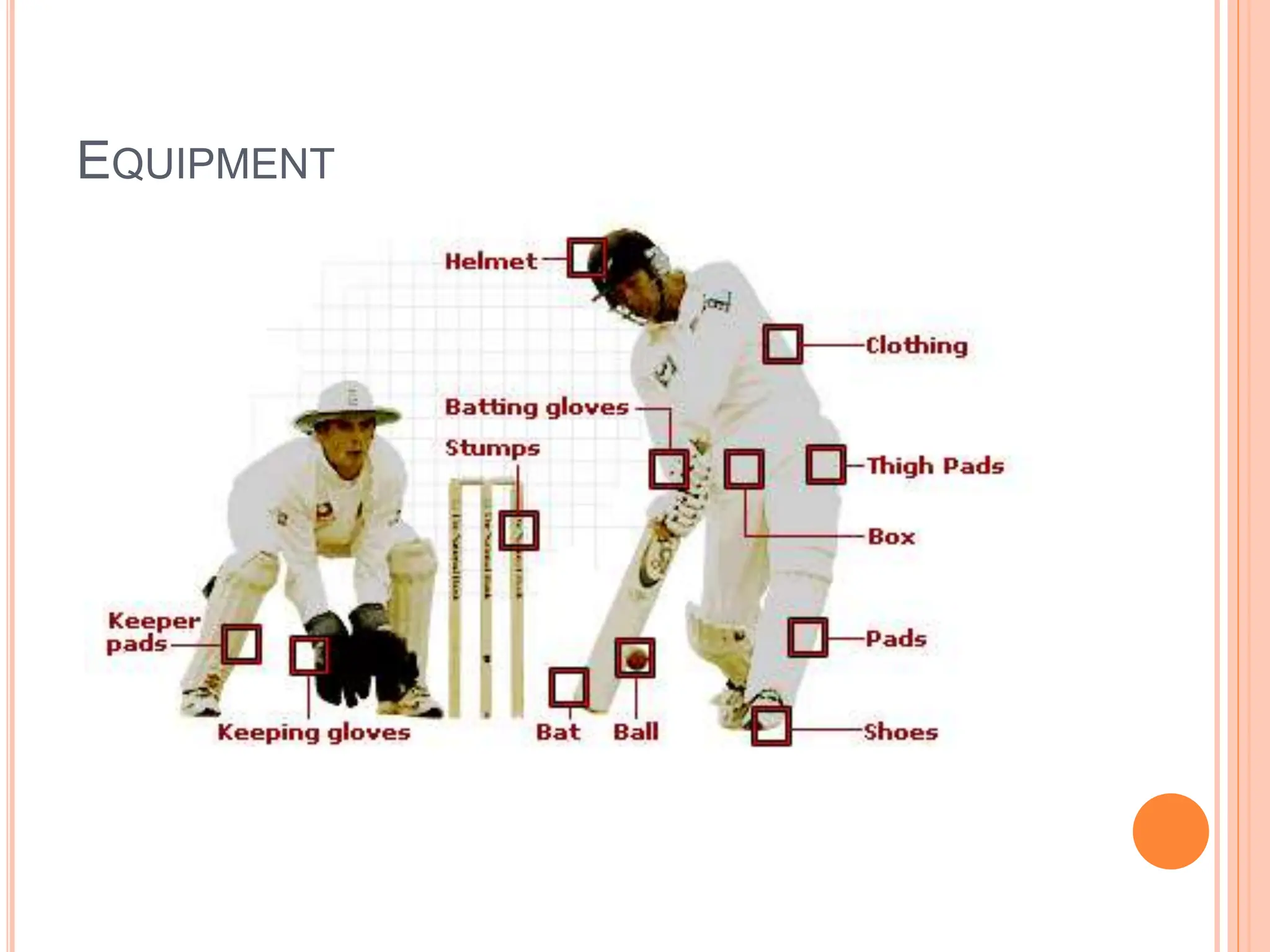 The game of "cricket" for the new users. | PPTX
