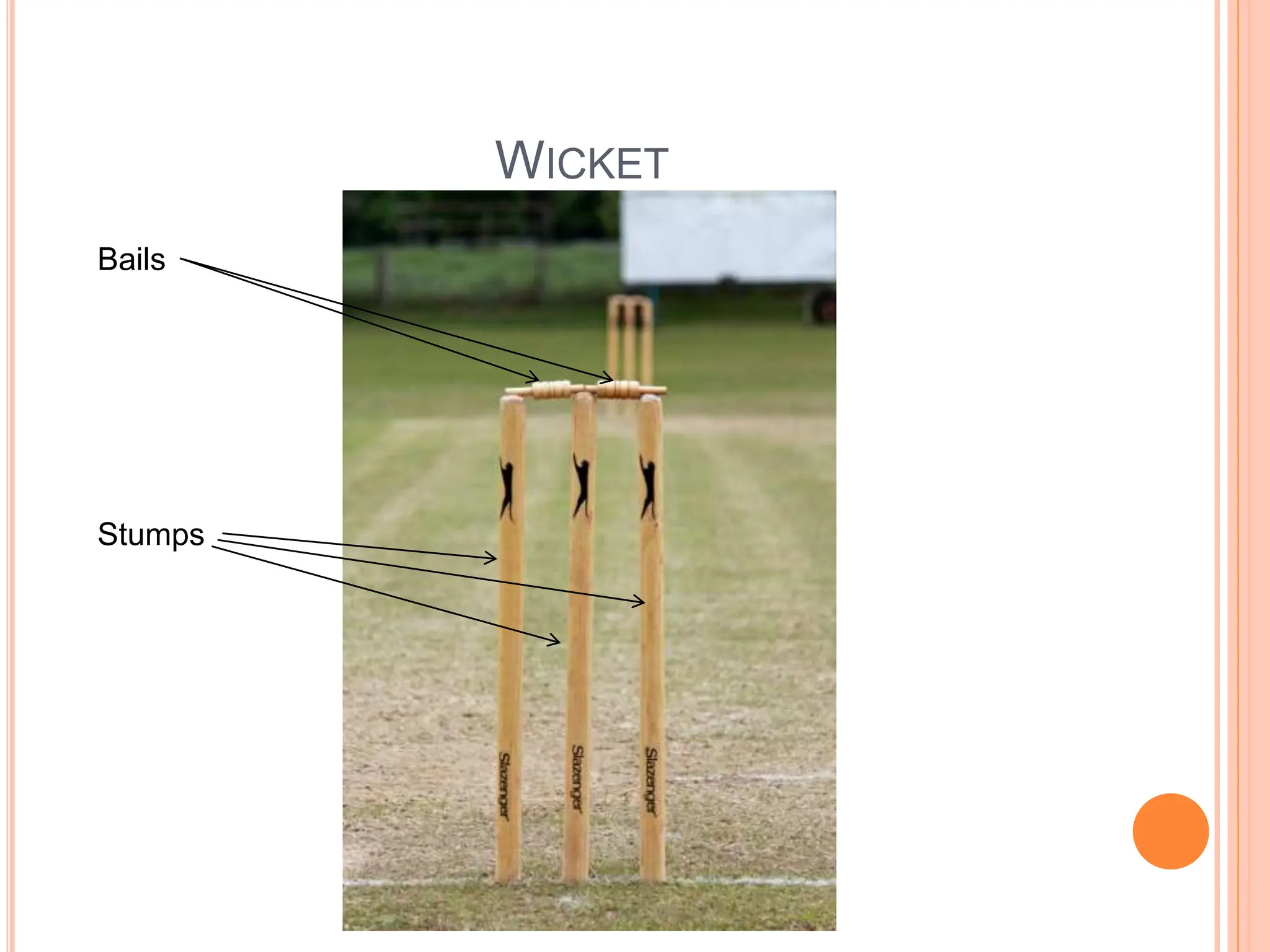 The game of "cricket" for the new users. | PPT