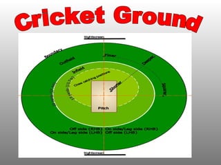 Cricket | PPT