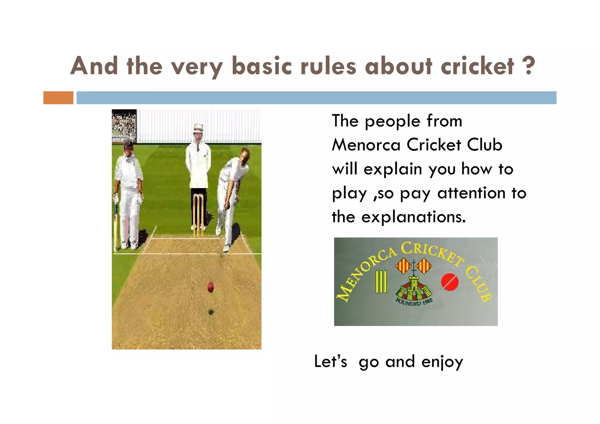 Cricket basics | PDF