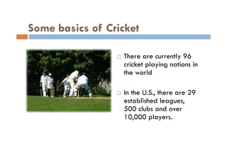 Cricket basics | PDF