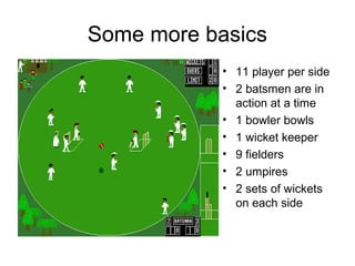 Cricket birth presentaion basics | PPT