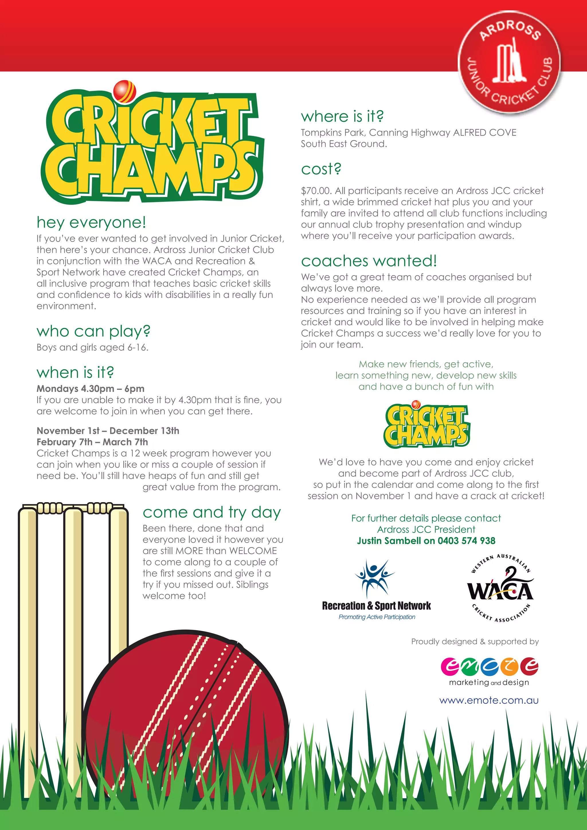Cricket Champs Flyer | PDF
