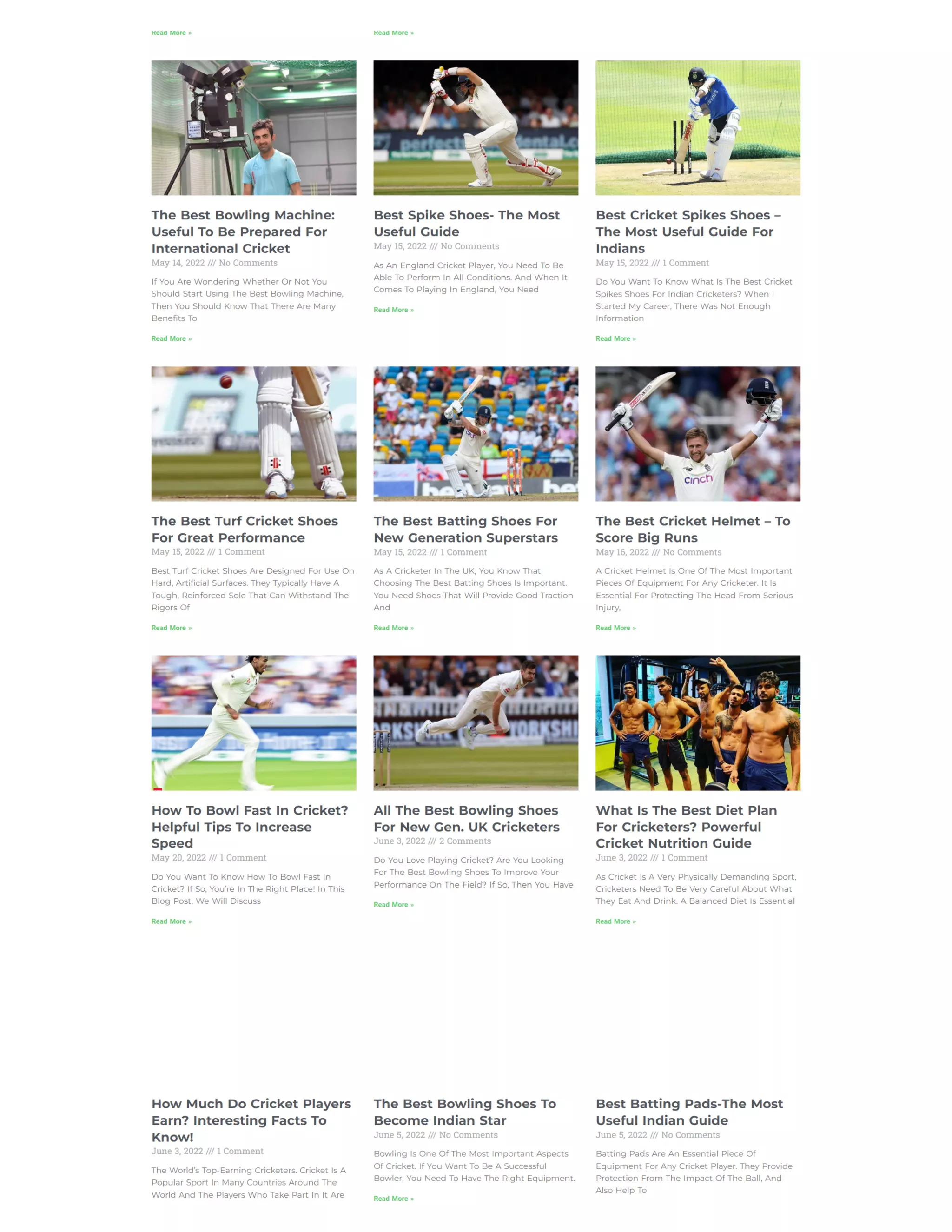 Cricket investigator.pdf