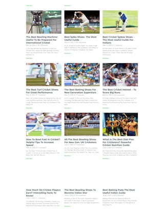 Cricket investigator.pdf