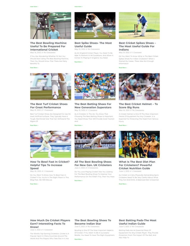 Cricket investigator.pdf