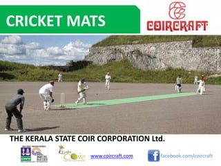 Cricket Mat for Practice | PPSX