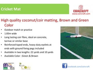 Cricket Mat for Practice | PPSX