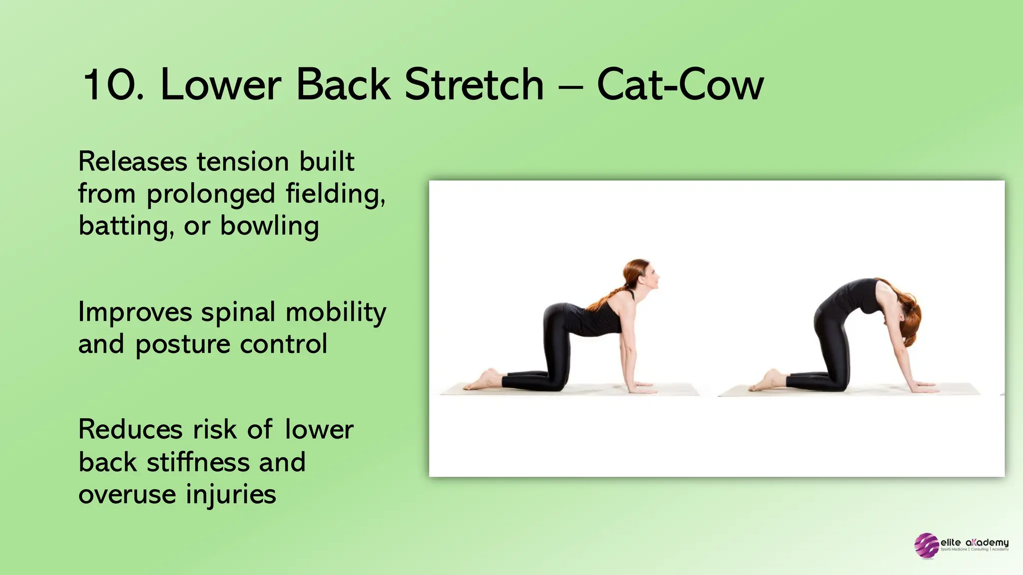 Pre-Season Stretching Guide for Club Cricketers | PDF