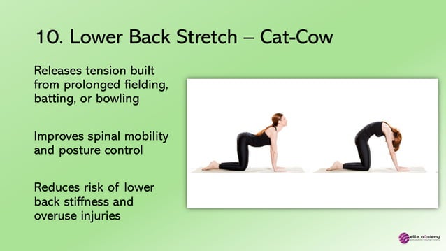 Pre-Season Stretching Guide for Club Cricketers | PDF