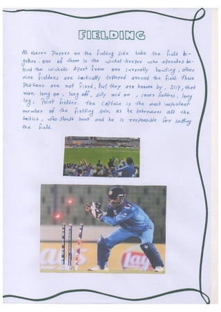 Cricket Report | PDF