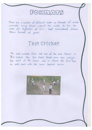 Cricket Report | PDF